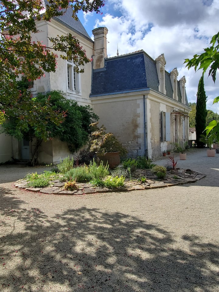 La Grelauderie 8 - Saintes