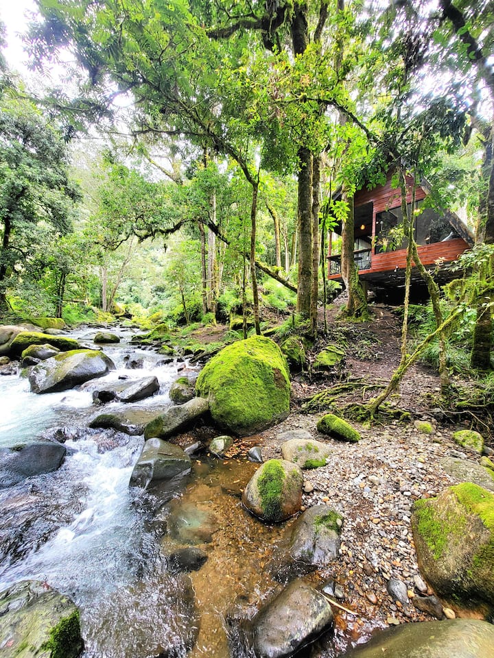 Unicorn Chalet : A Riverfront Quetzal Paradise ! - 