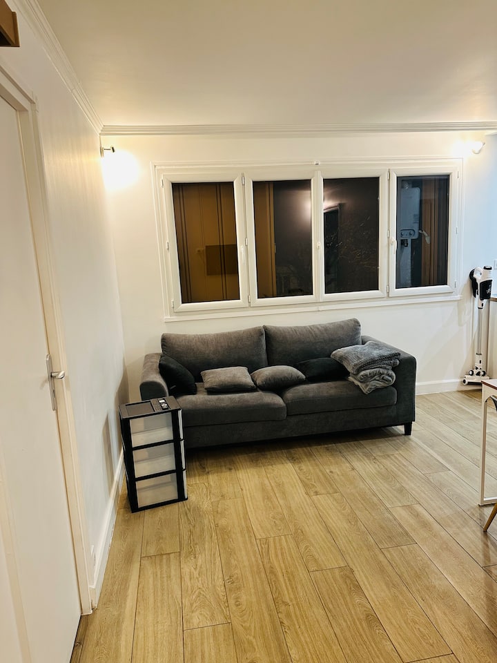 Appartement Meublé Et Lumineux - Choisy-le-Roi