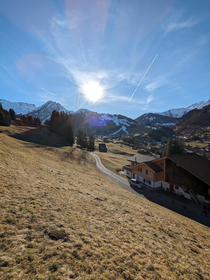 Zimmer In Adelboden - Adelboden