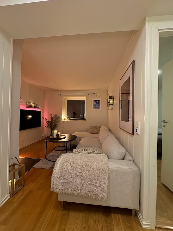 Moderne Leilighet 2 Soverom - Tromsø