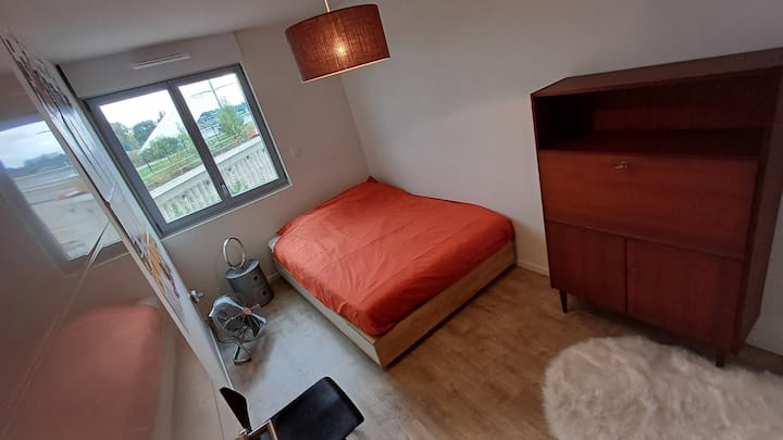 Chambre Dans Logement Partagé. - Strasbourg