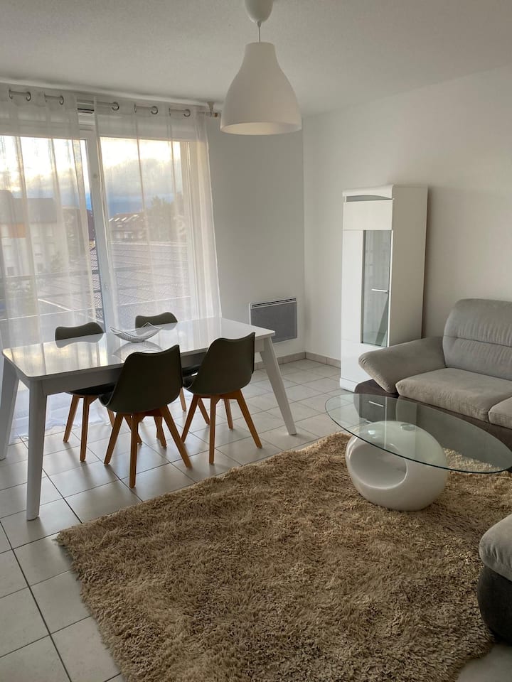 “Chez Noah” T3 Proche Genève 70m2 & Parking Privé - Annemasse