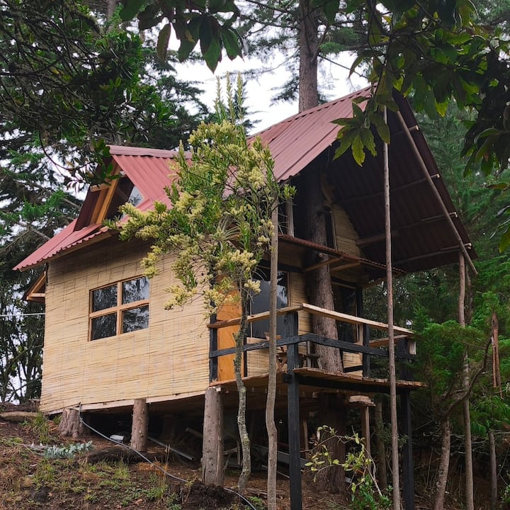 Cabañas Del Bosque - Sesquilé - Sesquilé