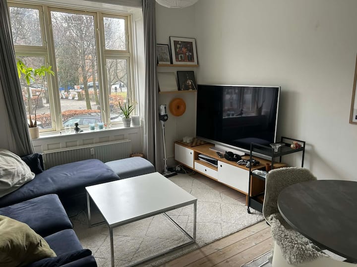 Cozy Apartment, Placed In Central Copenhagen - Copenhaguen