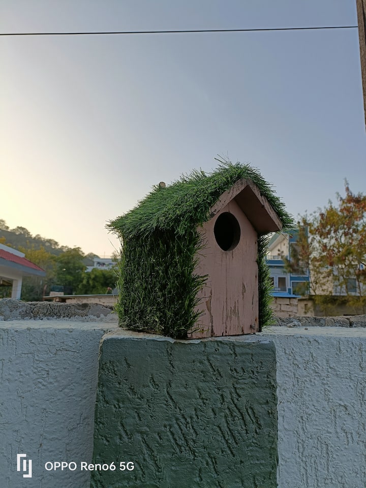 The Green House - Udaipur