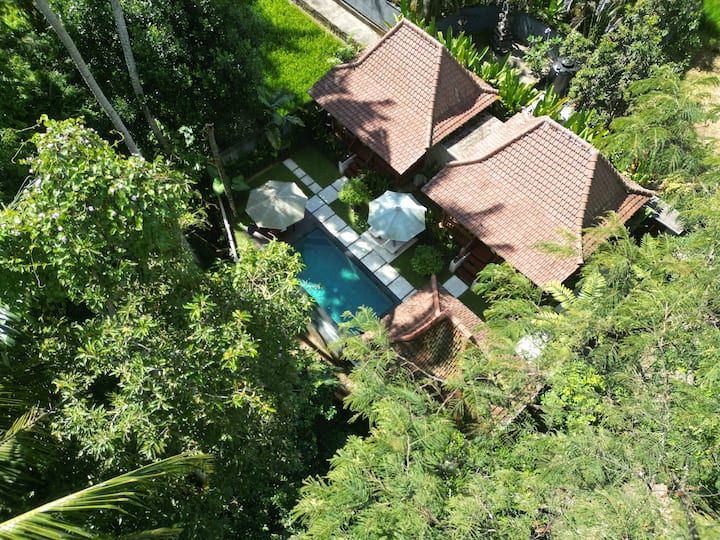 Hutanku Villa - Ubud - Villa 2 Bdr - View Jungle - Bali