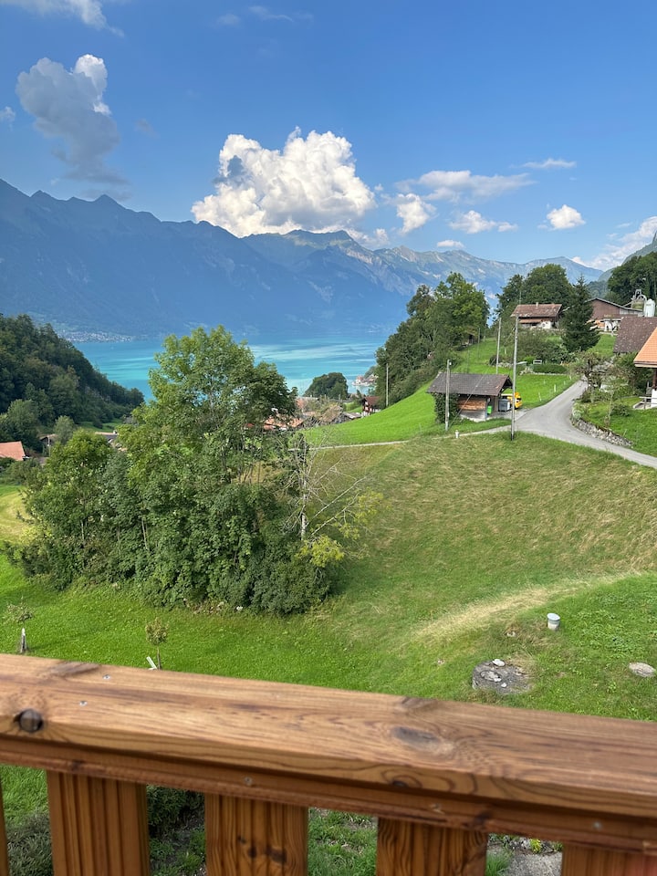 Apartment Brienzer Seeblick - Grindelwald