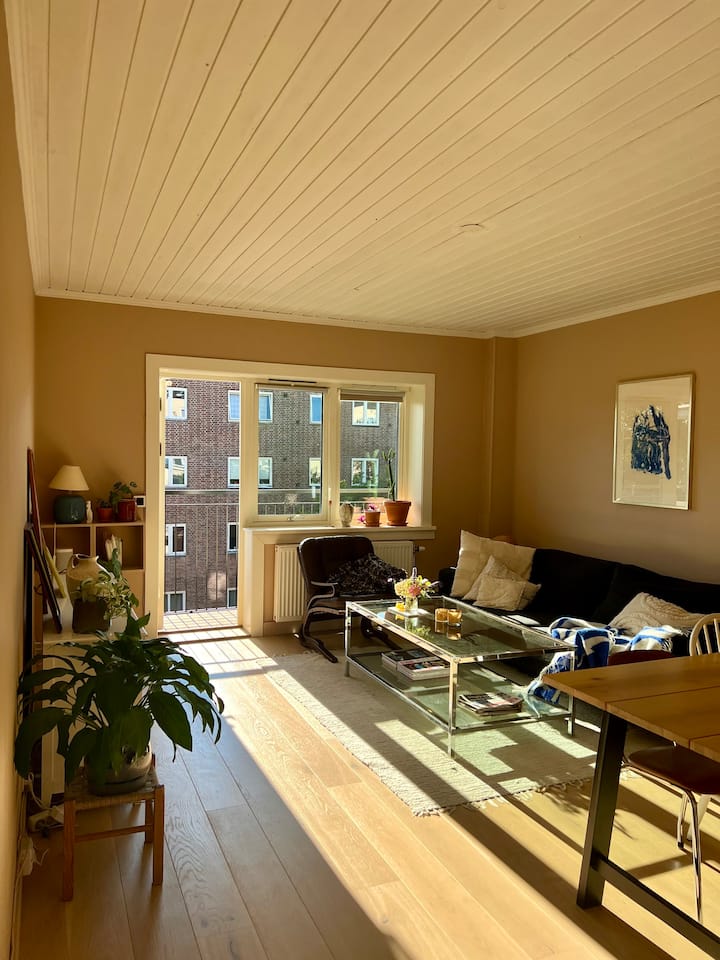 Hyggelig, Sentrumsnær Leilighet - Oslo