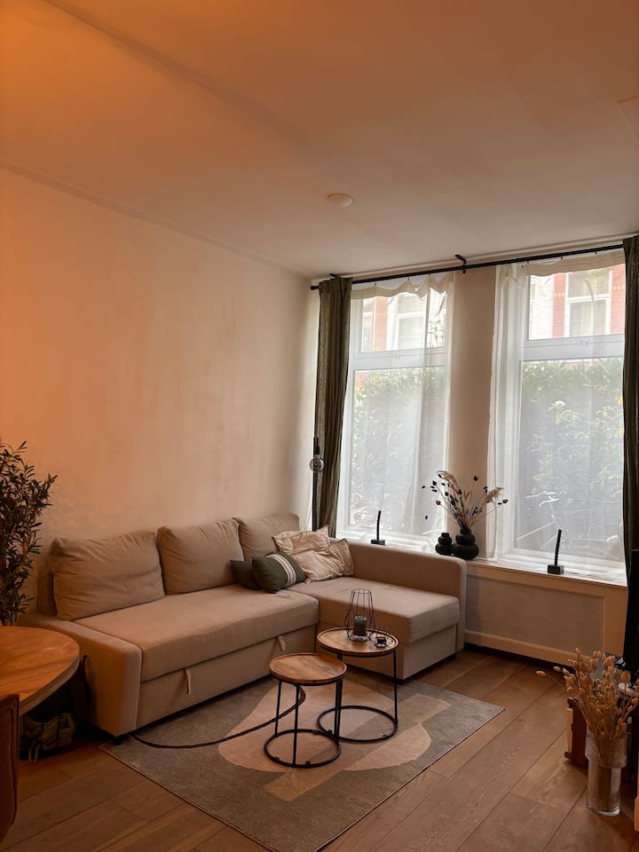 Knus Appartement In Haarlem - Haarlem