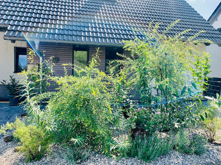 Helle Gemütliche Wohnung Im Grünen (Rhein-main) - Alzenau