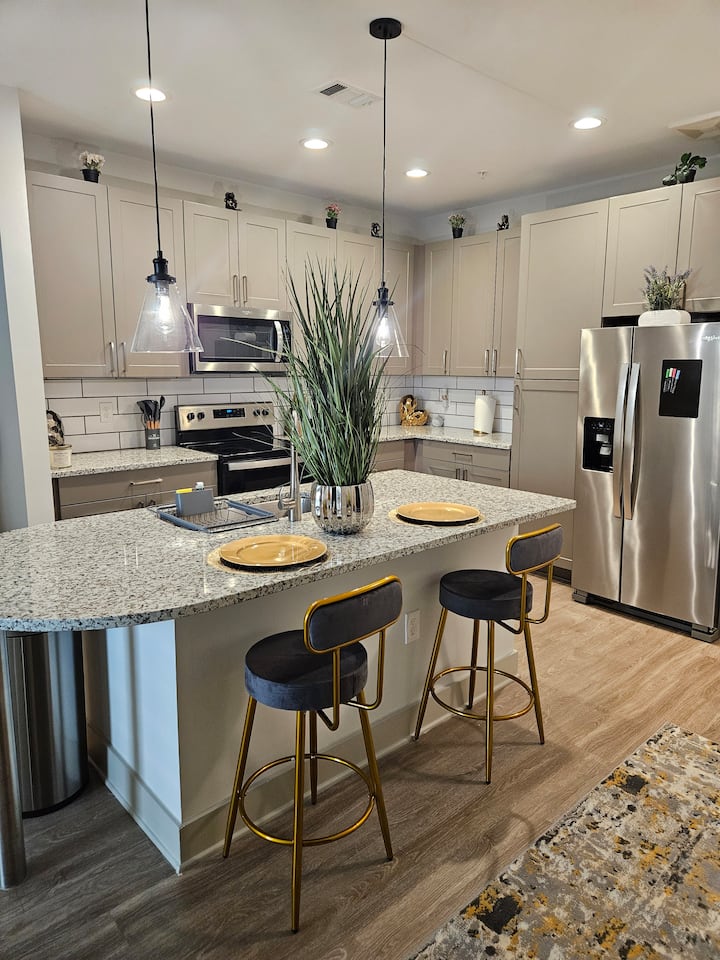 Chic 1 Br Apt In Downtown, Near Uab/regions Field - Homewood, AL