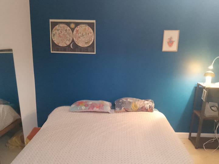 Grande Chambre - Strasbourg