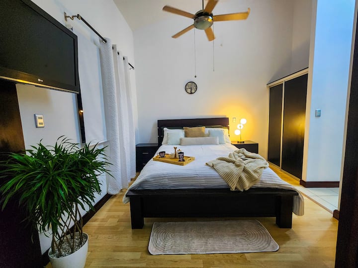 Elegant And Modern Apartment In Santa Ana Centro - Santa Ana