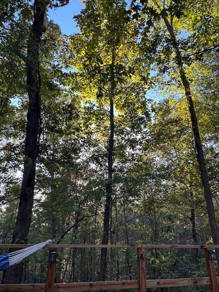 Serenity Hill Place - Kentucky Lake