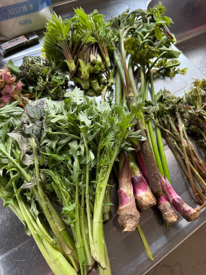 自然と触れ合える宿
青森県初／狩猟・きのこ狩り体験もできる 民泊アジール【一軒家貸し切り】 - 弘前市