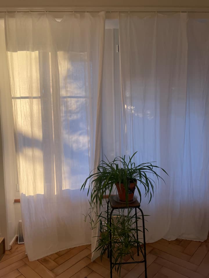 Chambre à Louer - Fribourg
