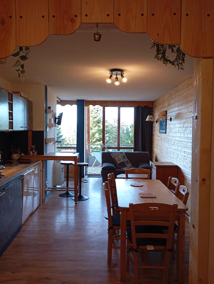 Appartement Vue Montagne - Chamrousse