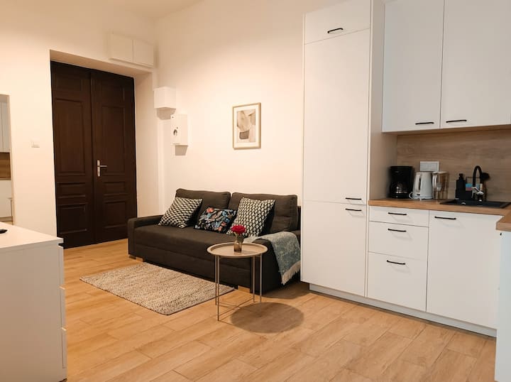 Luxury Design Apartments - Warsaw City Center - Warsaw