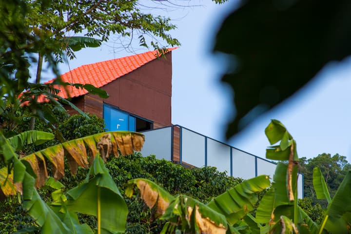 En Medio De Un Cultivo De Café A 25 Min De Jerico - Antioquia