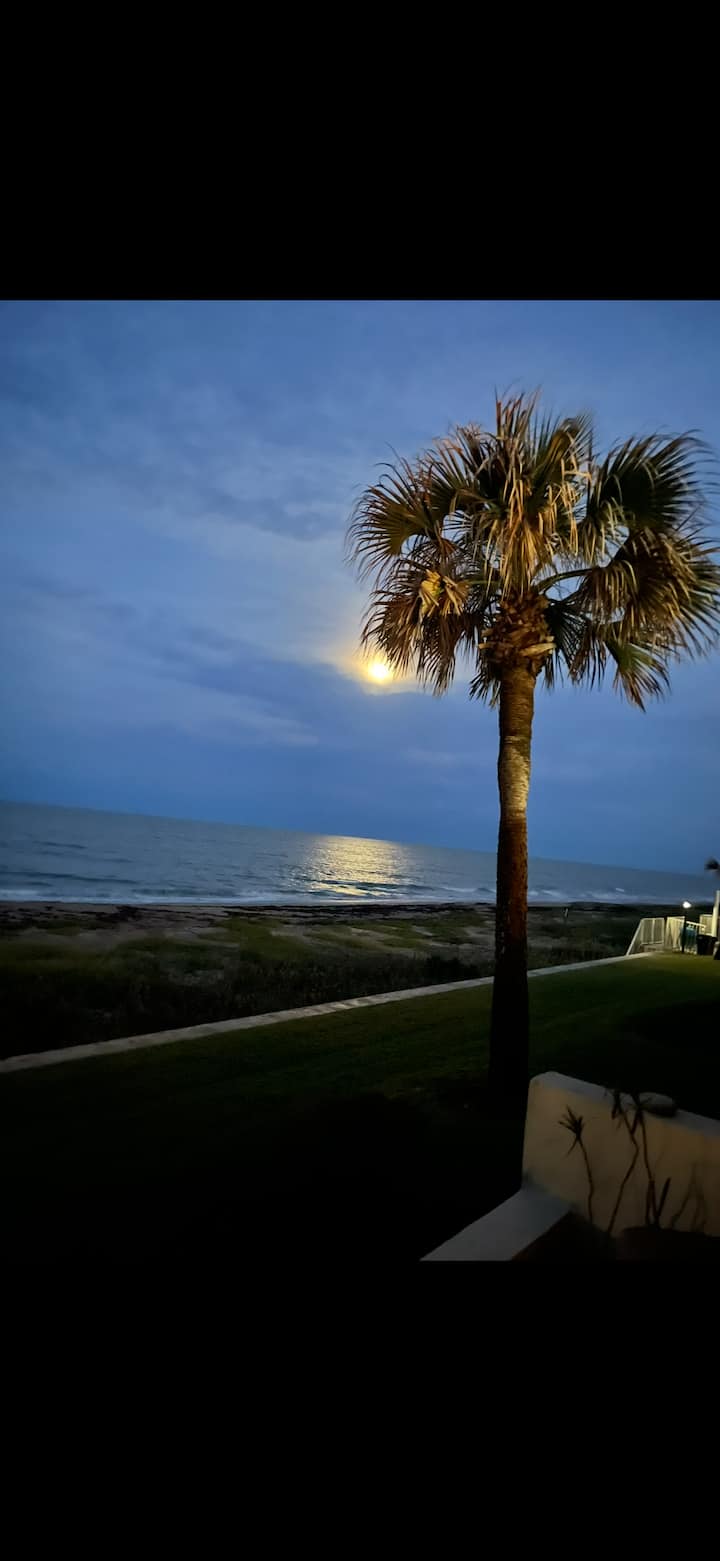 Suncatcher Oceanfront Condo In Ormond -By-the-sea - Ormond Beach, FL
