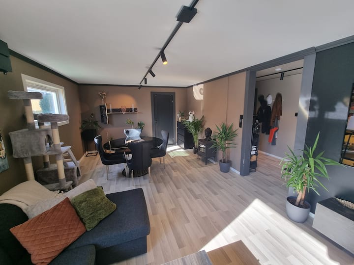 Sentrums Nær Trivelig Leilighet - Stavanger