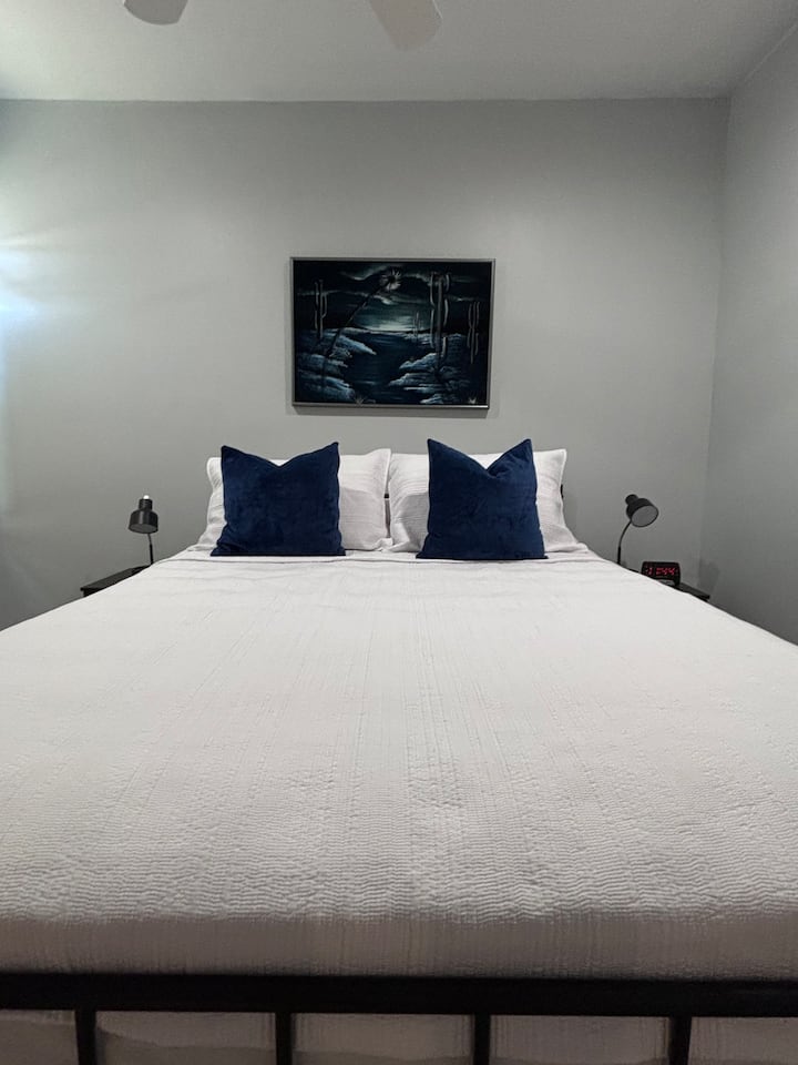 Mini Cactus Suite - Phoenix, AZ