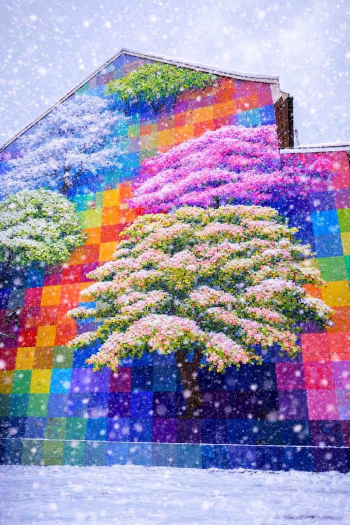 Natural Light | King Bed | Walkable | Parking - Philadelphia, PA