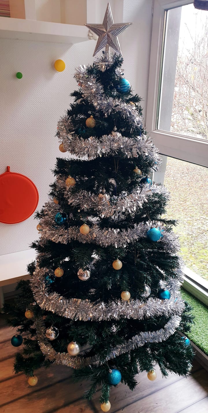 Appartement 150m² 
10/12 Pers Accès Pmr Wifi - Alsace