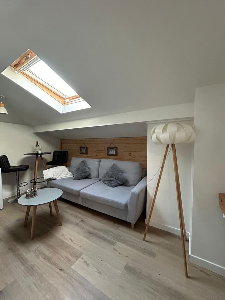 Superbe T2 Meublé Hyper Centre - Thonon-les-Bains