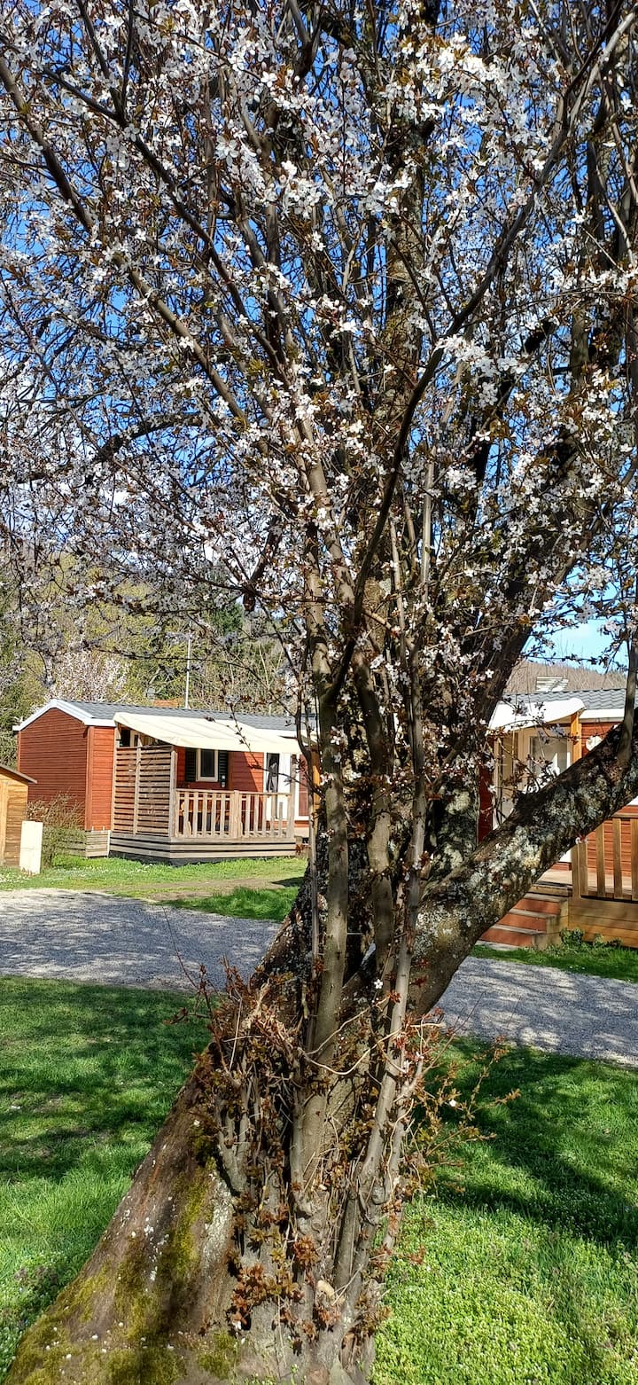 Bungalow éQuipé Munster Avec Draps , Serviettes . - Black Forest