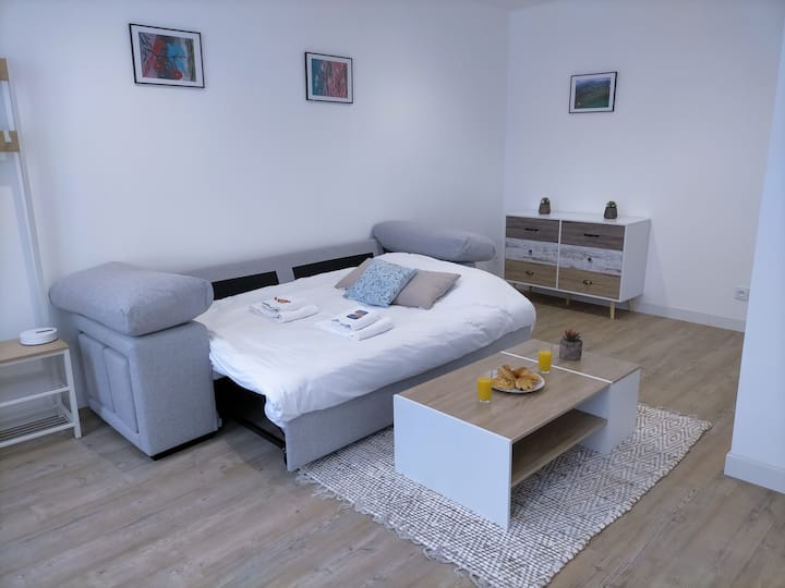 Bourgeois 3 Un Nid Douillet Au Centre - Sedan