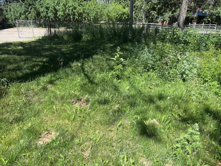 Extraordinary Montana Views - 와이트피쉬