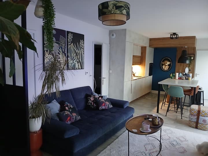 Chambre Cosy - Strasbourg