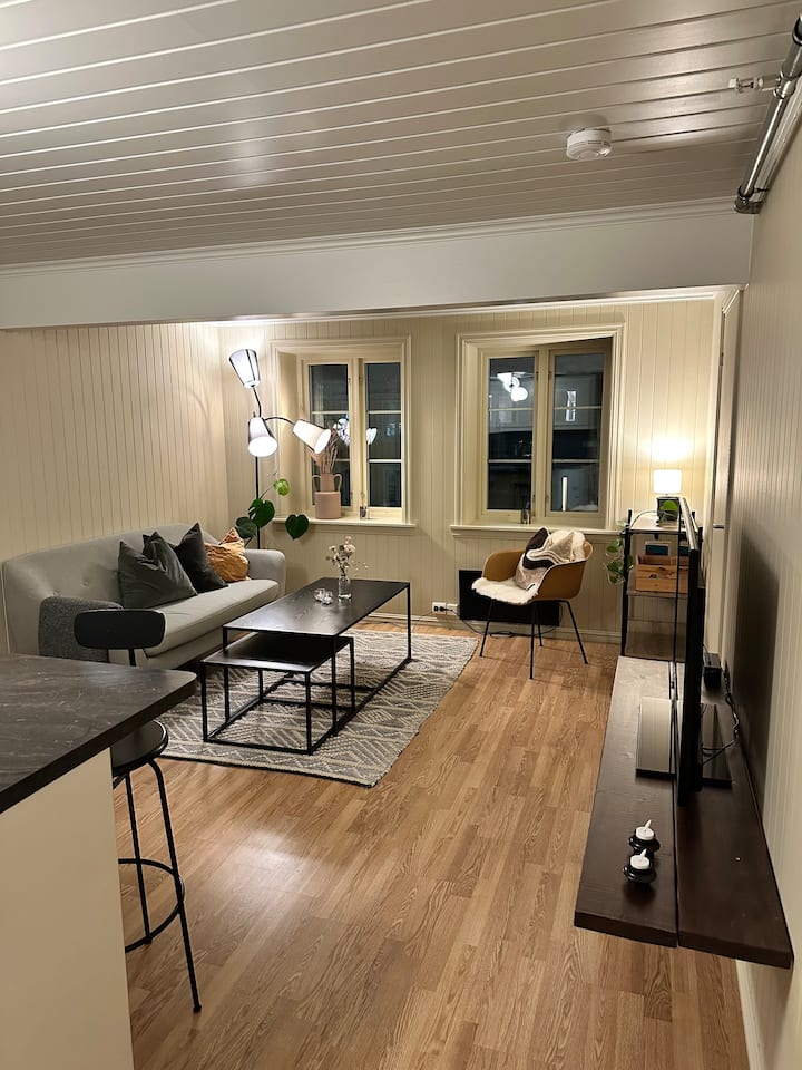 Moderne Leilighet Midt I Sentrum - Tromsø
