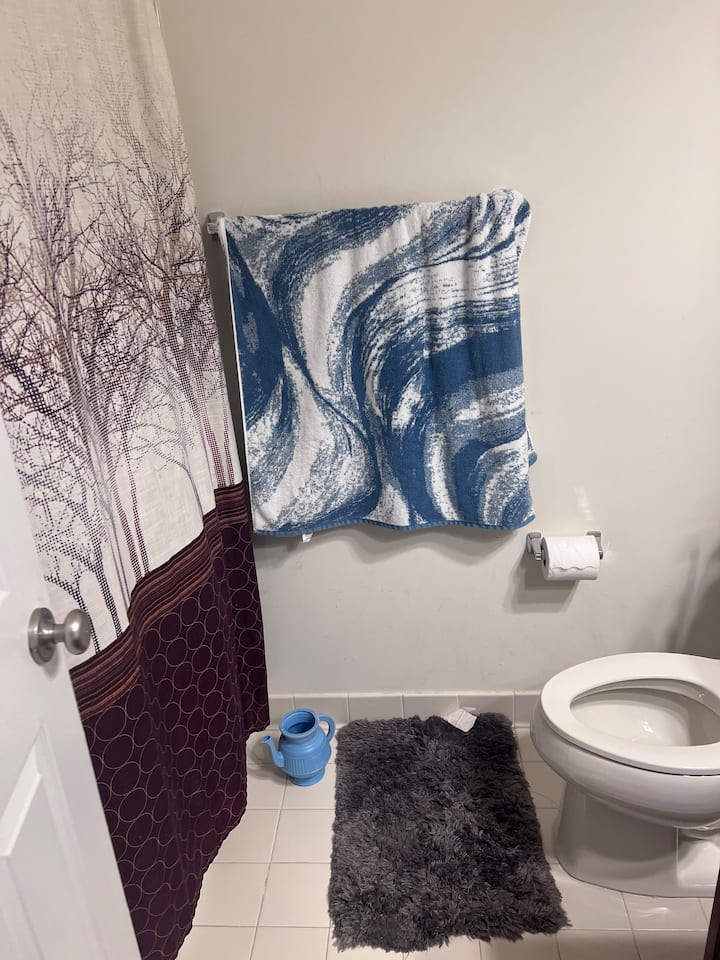 Furnished Room For Rent With Attached Bathroom - Ashburn, VA