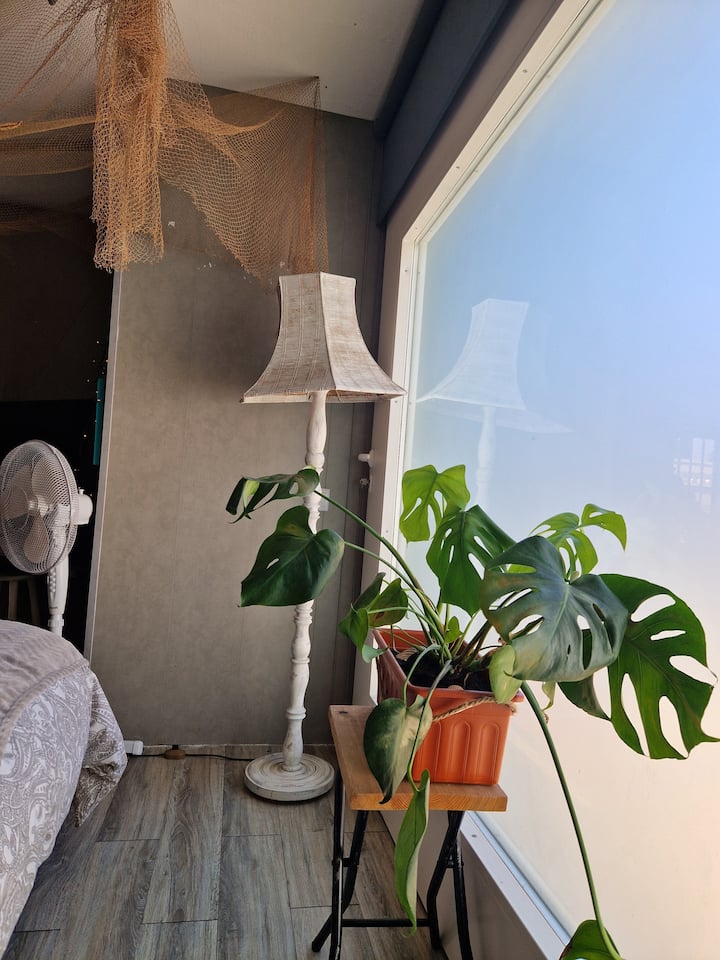 Studio Tavira - Tavira