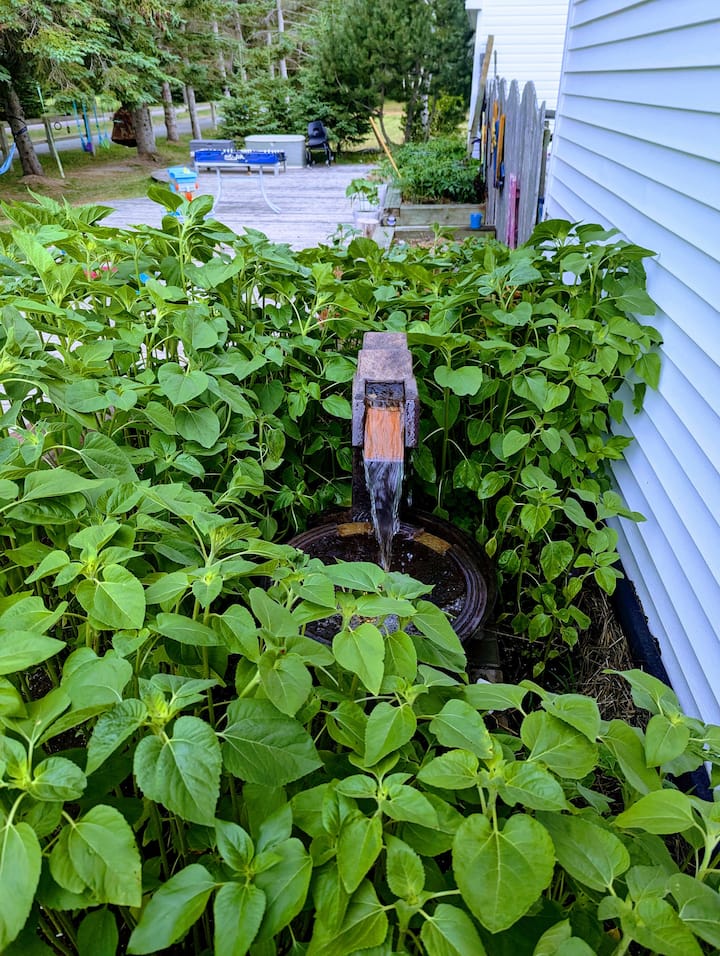 Ocean Couples Delight - Bouctouche
