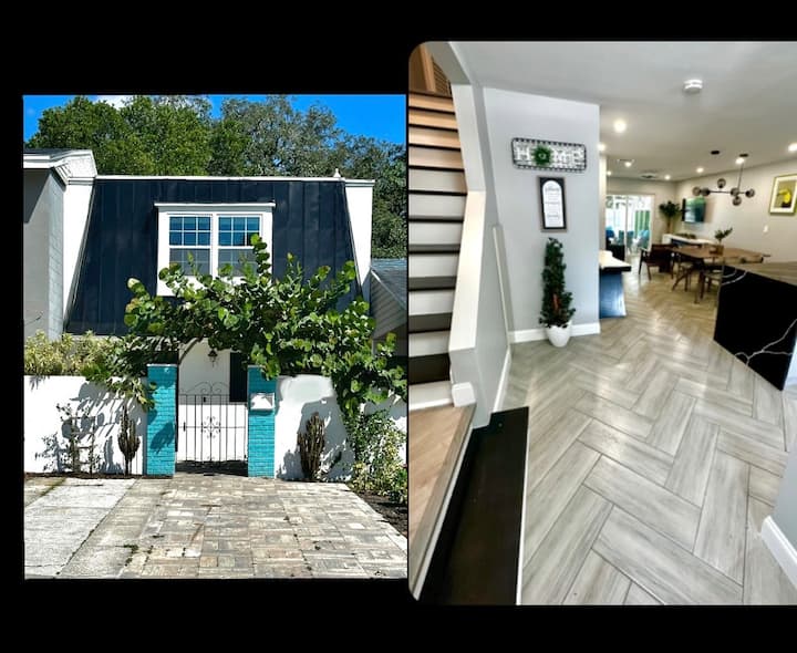 New Renovated Spa-bath Usf /Moffit /Busch Gardens - Temple Terrace, FL