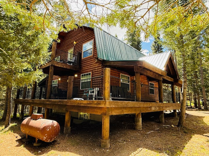 Blue Pines Cabin 18min To Ynp+wifi+hot Tub - Henrys Lake, ID