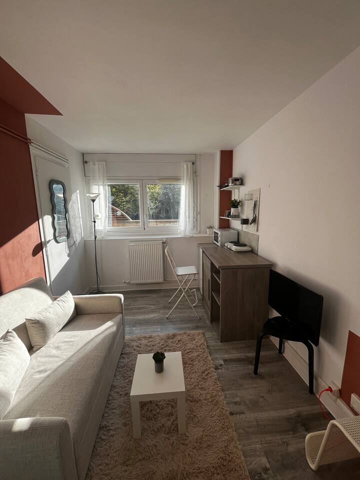 Joli Studio Cosy Et Lumineux - Saint-Étienne