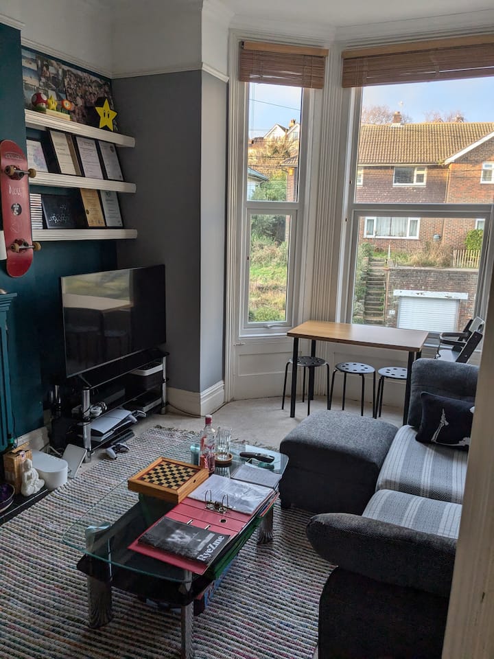 Art Gallery/retro Gaming Air Bnb - Hastings
