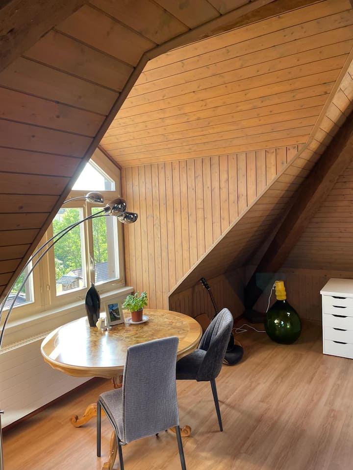 Casa Kina Appartament Winterthur - Winterthur