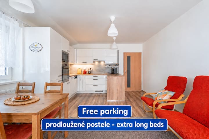 Quiet Flat Also Suitable For Work Colleagues - República Checa