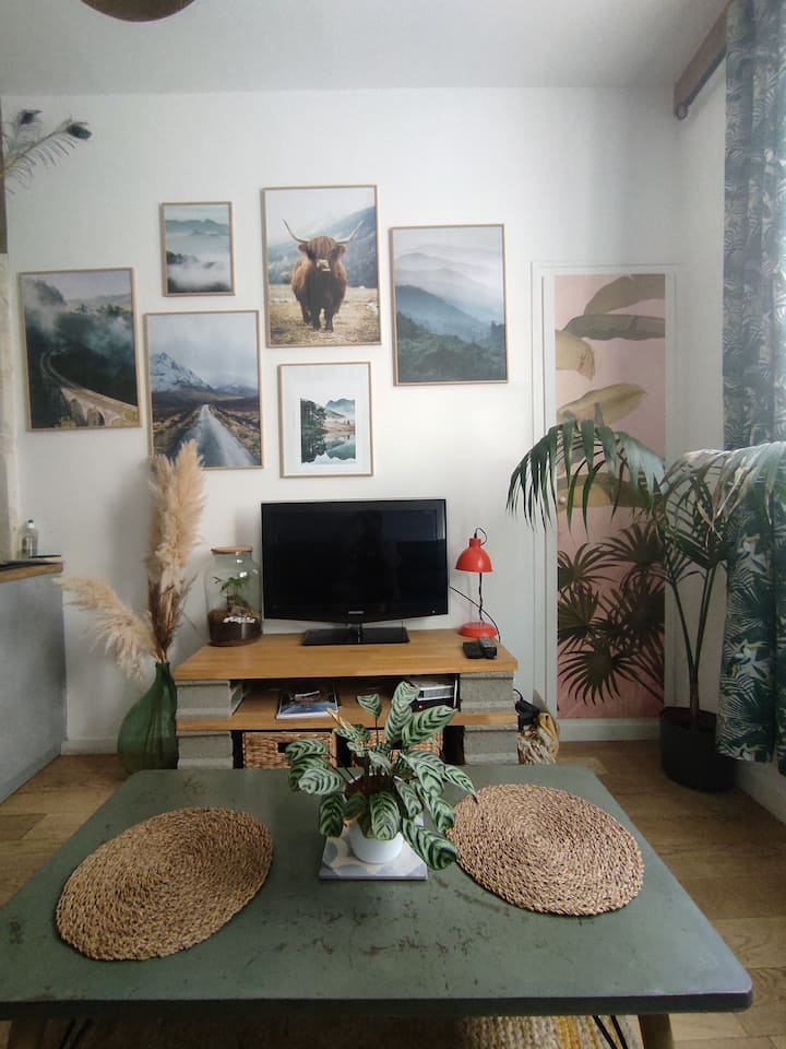 Studio Cosy Et De Charme Tours - Tours
