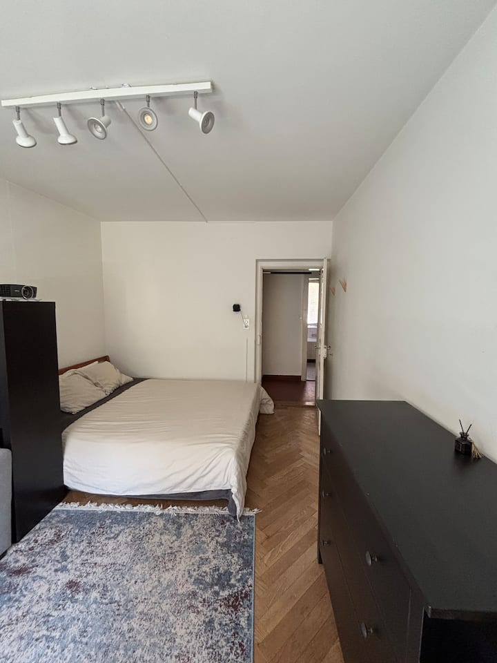 Room In The Heart Of Zurich - Zurich