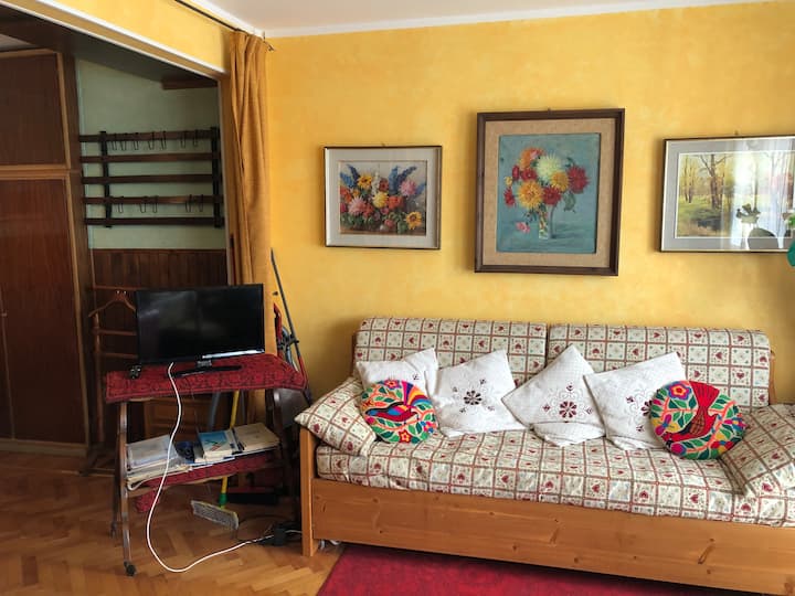 Small Flat 50 M From The Slopes - Arolla