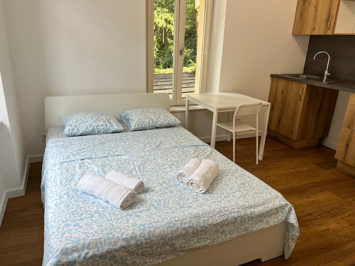 203 - Studio With Shared  Bathroom - Luxemburgo