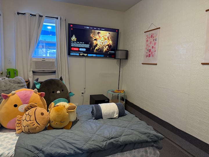 Solo: M Train L Train Wifi Ac Netflix Williamsburg - New York City