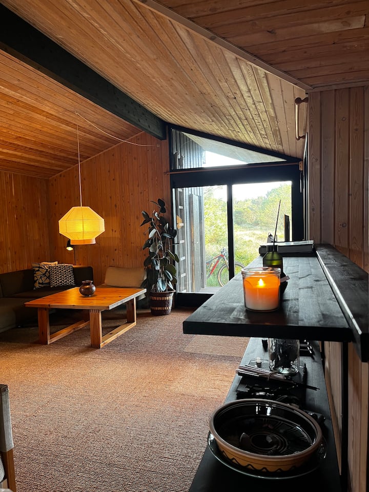 Sommerhus Idyl Ved Vestkysten - Saltum